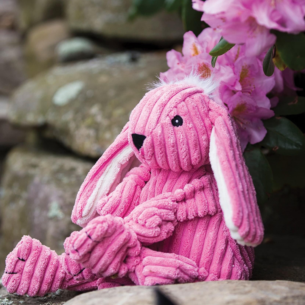 Hugglehounds Bunny – Dixie Doodles Pet Shop